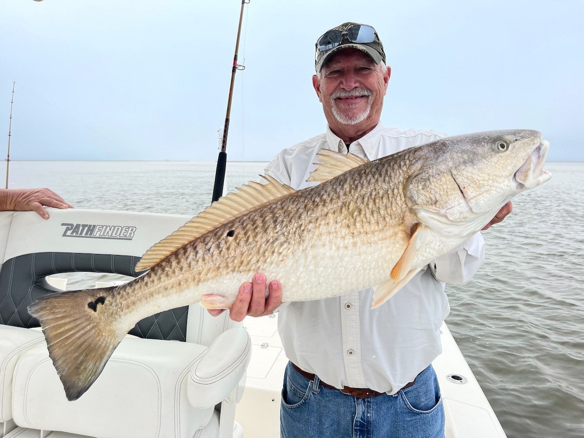 Which Fish Are Best to Catch in Summer?